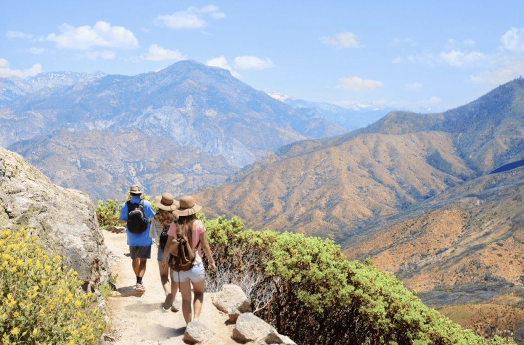 Living in Madera CA 🌳🍷 | Tips + What to Know About Moving to Madera